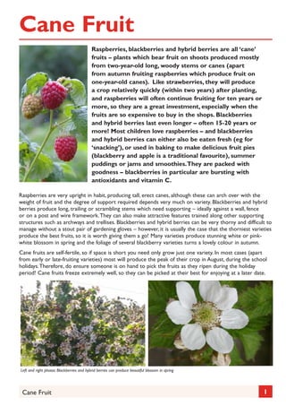 Cane Fruit Gardening Guides for Teachers | PDF