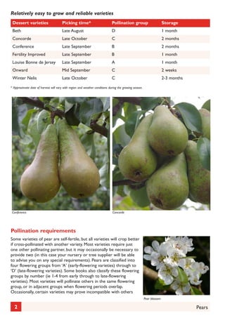 Pears Gardening Guides for Teachers | PDF | Gardening | Home & Garden
