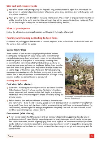 Pears Gardening Guides for Teachers | PDF | Gardening | Home & Garden