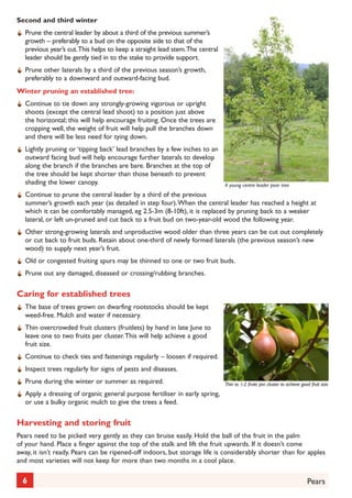 Pears Gardening Guides for Teachers | PDF | Gardening | Home & Garden