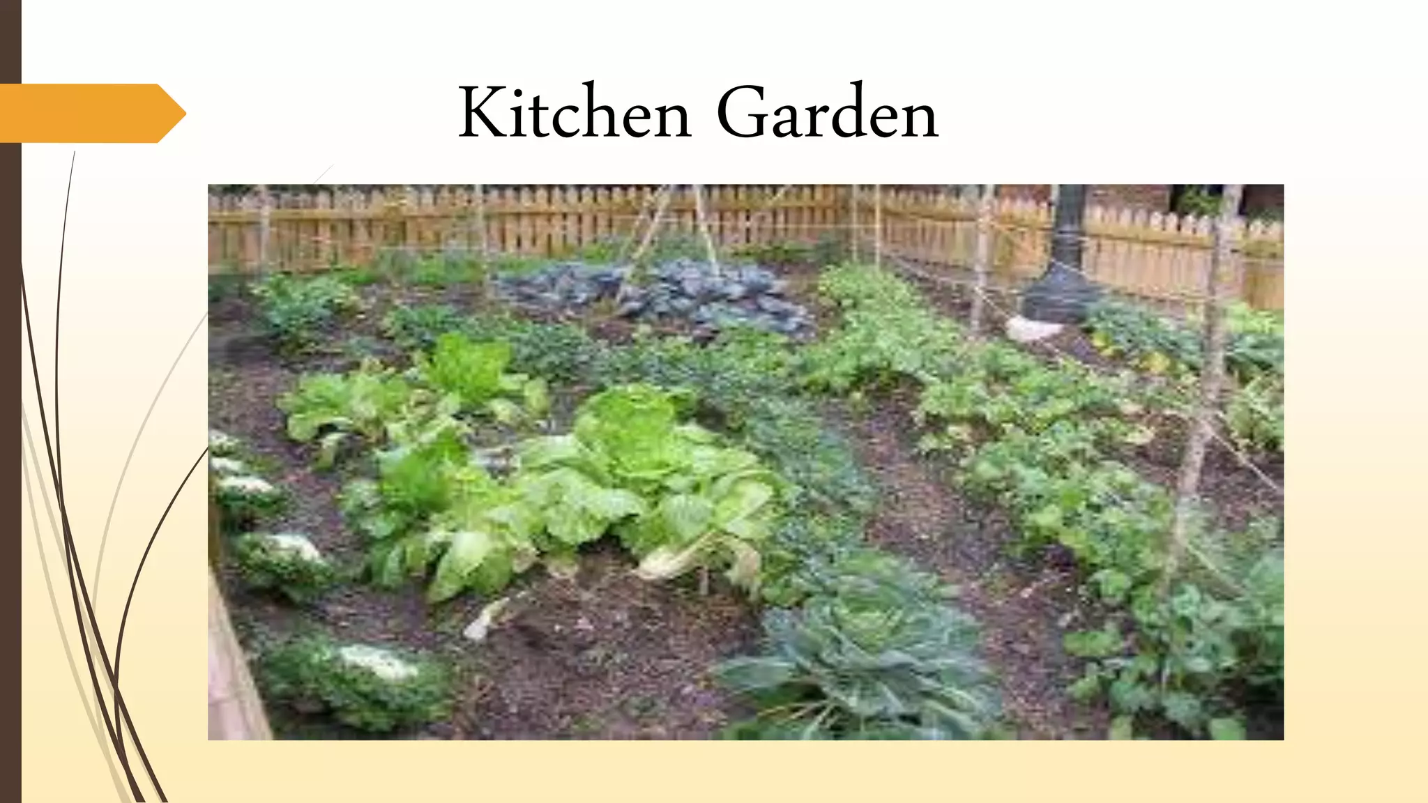 Kitchen Gardening | PPTX