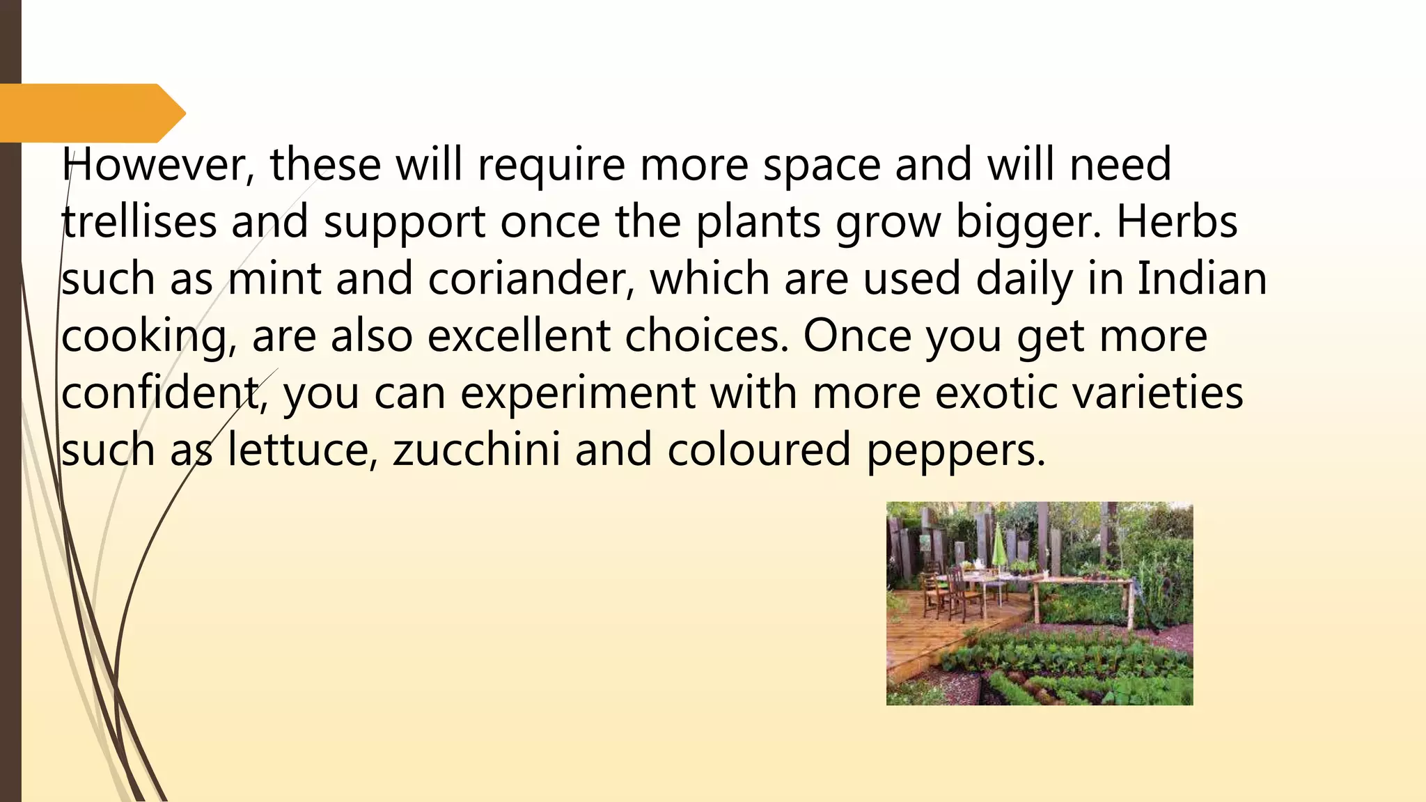 Kitchen Gardening | PPTX