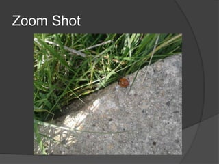 School camera angles & shots | PPTX