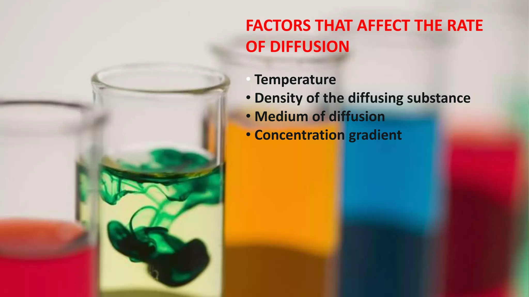 School chemistry experiments | PPTX