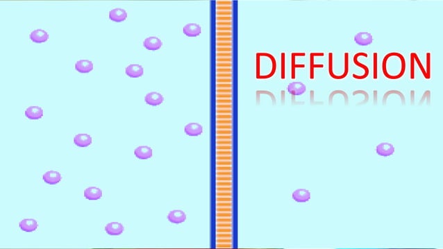 School chemistry experiments | PPTX