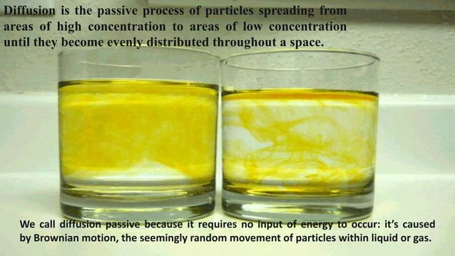 School chemistry experiments | PPTX