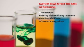 School chemistry experiments | PPTX