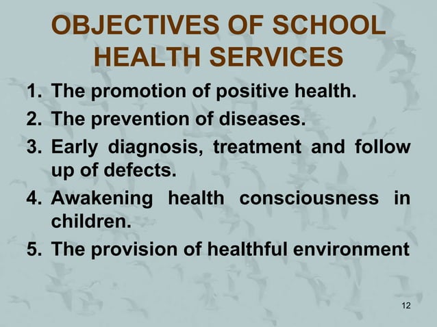 School health services | PPTX | Parenting | Family and Relationships