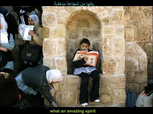 Schools in Palestine | PPS