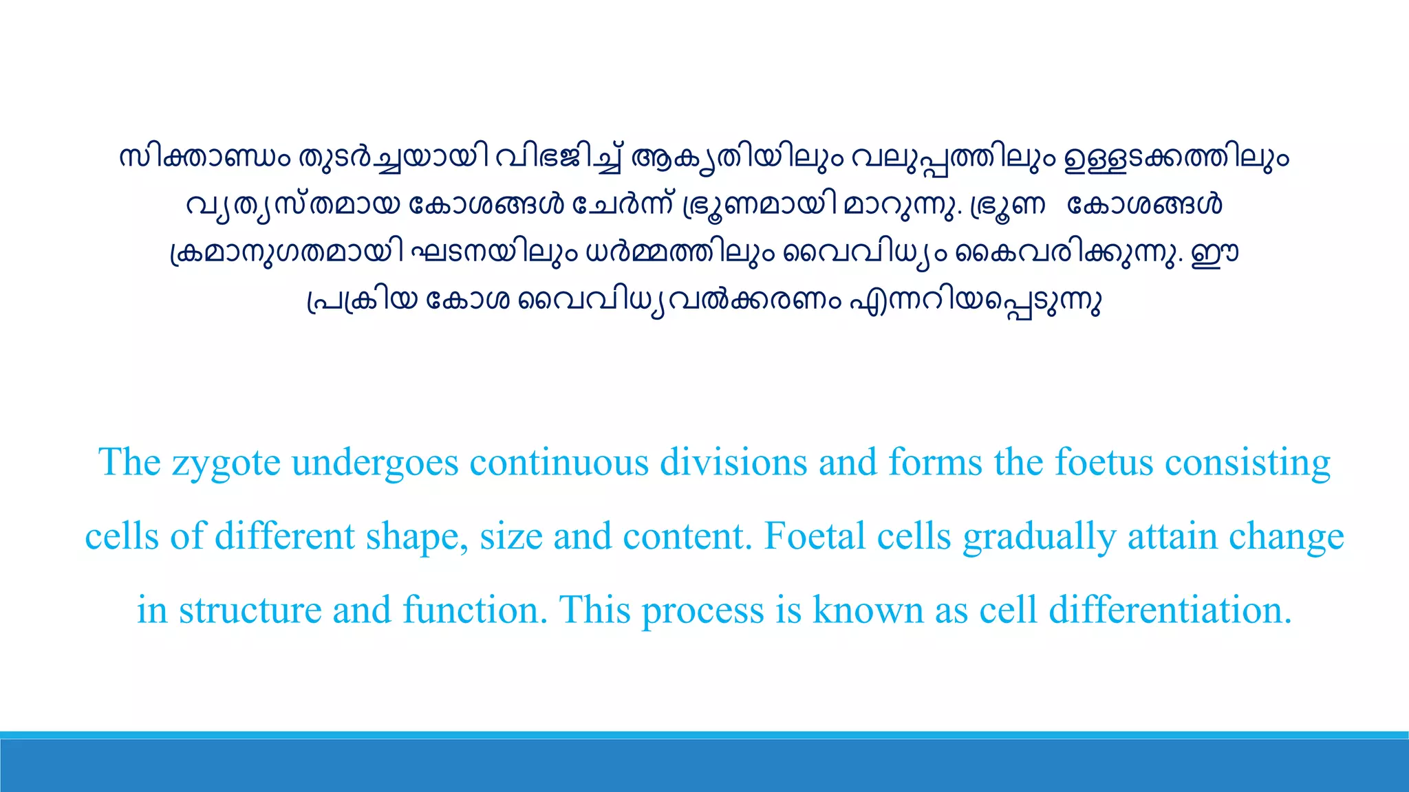 School internship lesson plan 2 tissues | PPTX