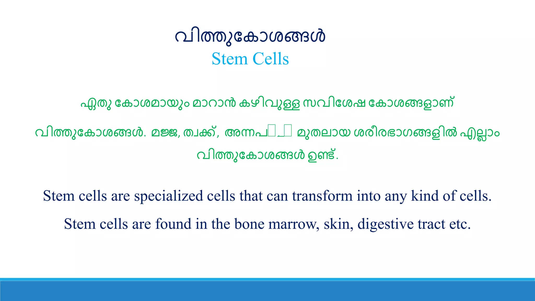 School internship lesson plan 2 tissues | PPTX