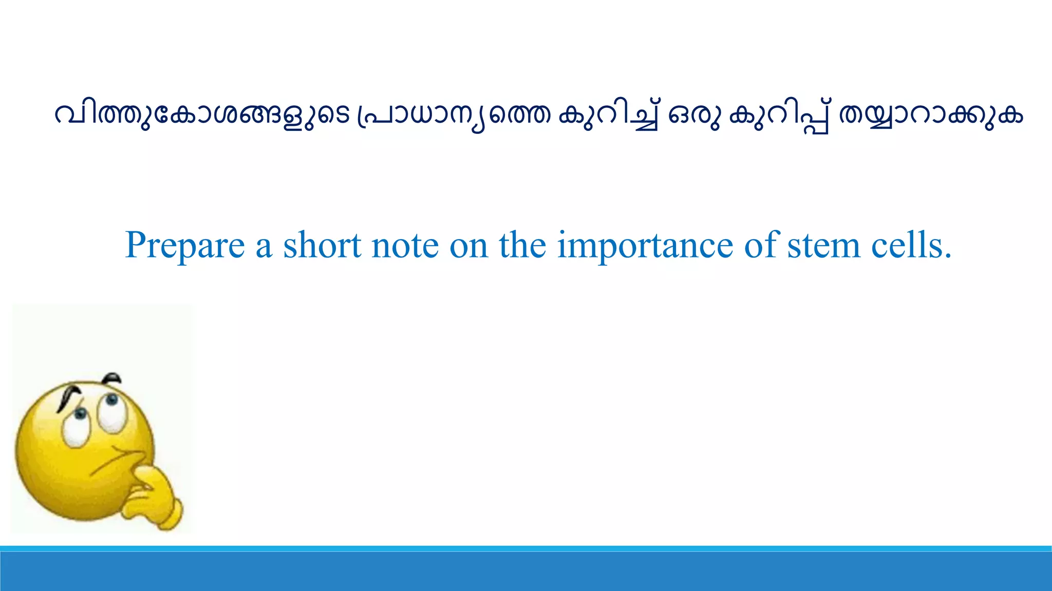 School internship lesson plan 2 tissues | PPTX