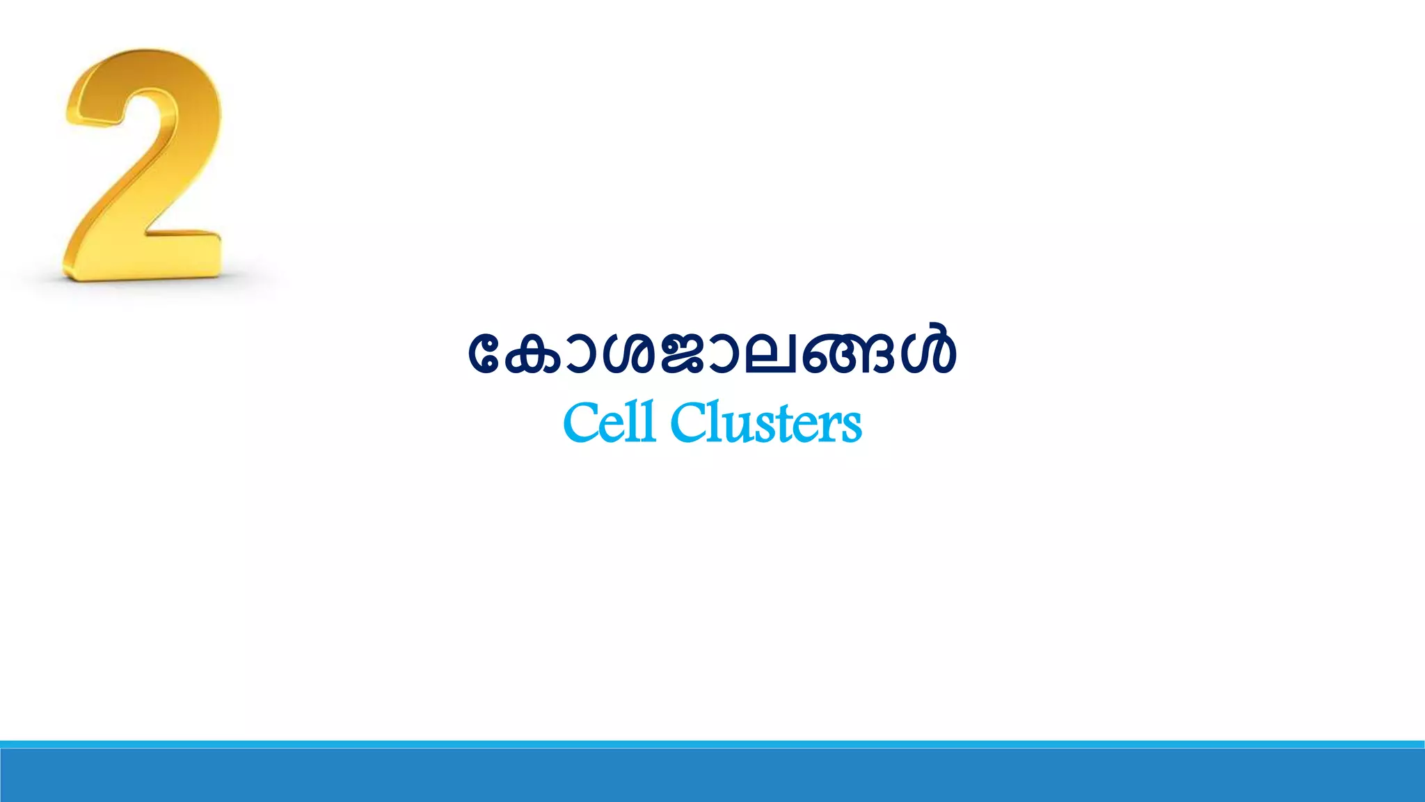 School internship lesson plan 2 tissues | PPTX