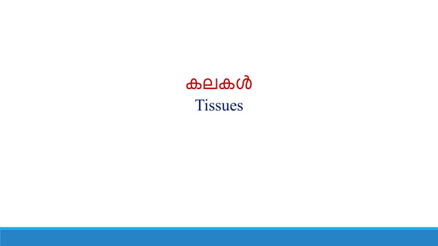 School internship lesson plan 2 tissues | PPTX