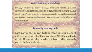 School internship lesson plan 2 tissues | PPTX