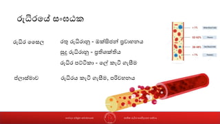 ලේ දන්දීම පිළිබඳ රුධිර දායකයින් දැනුවත් කිරීම (Blood donor awareness ...