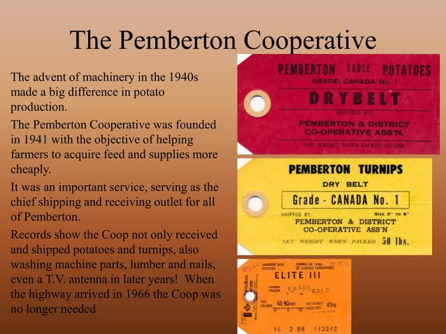 Schools, Spuds, Turnips & Cream - Life After The Railway | PPT