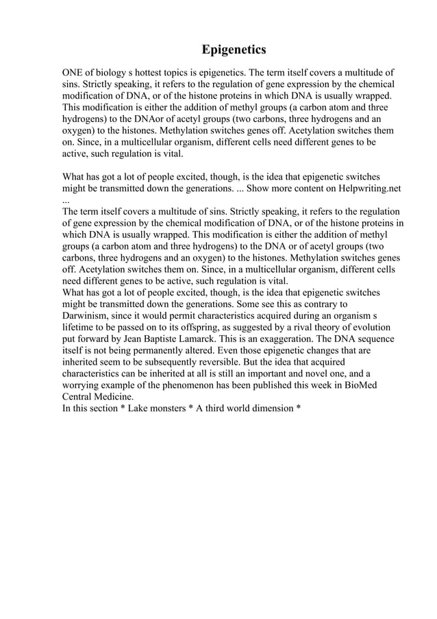 School Uniforms Argument Essay | PDF