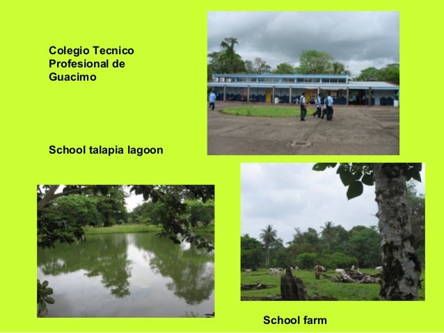 School Visit