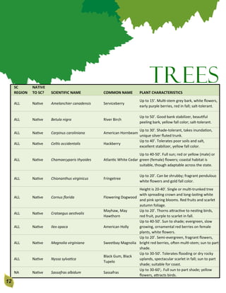 SC: How to Build a Rain Barrel Manual | PDF