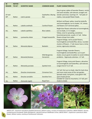 SC: How to Build a Rain Barrel Manual | PDF