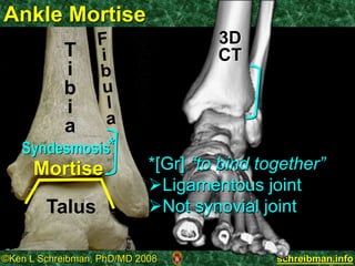 Ankle twisting injuries MSK Radiology | PPSX