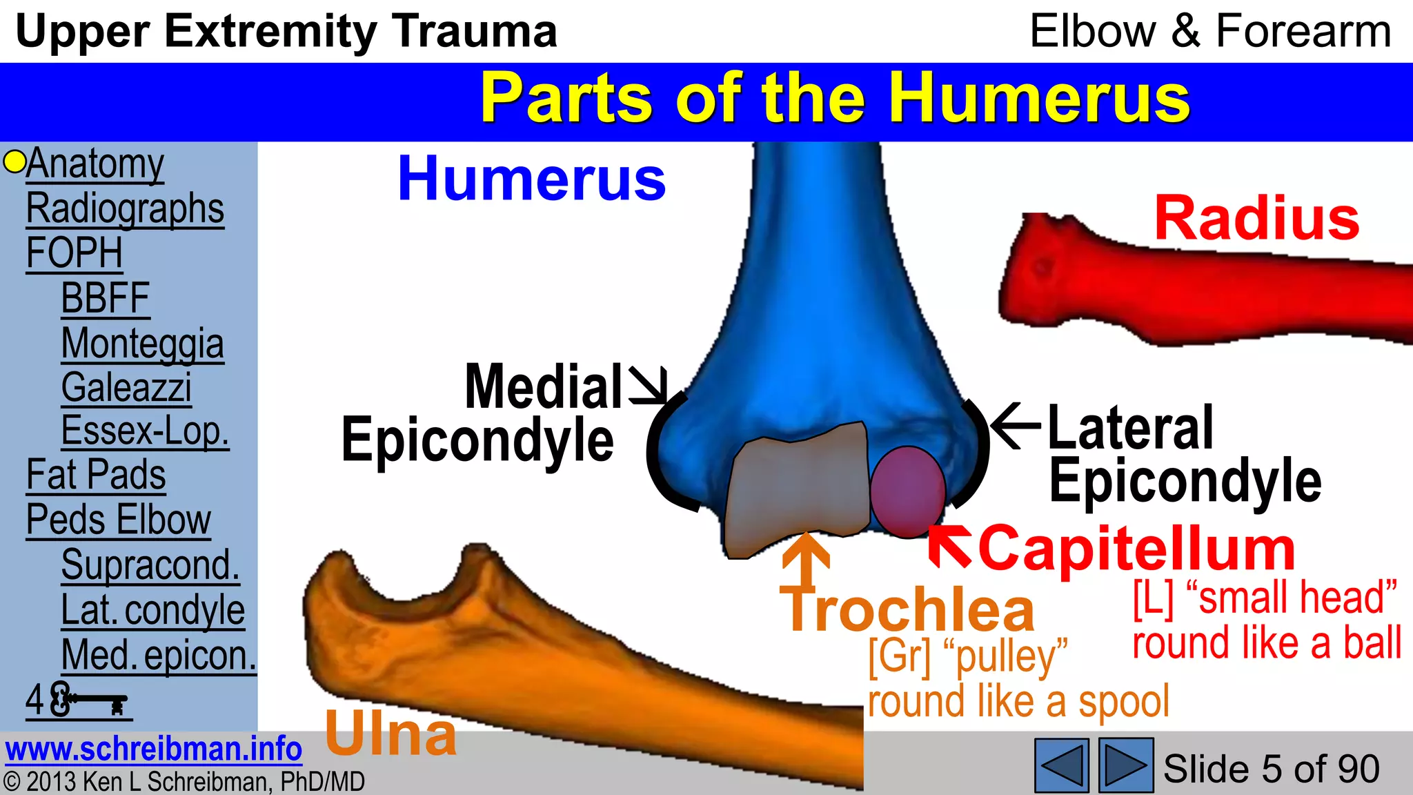 Upper Extremity Trauma Elbow & Forearm MSK Radiology Lecture | PPSX