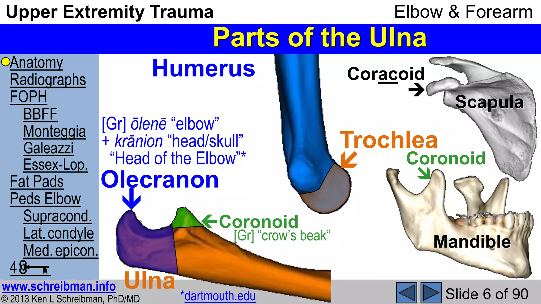 Upper Extremity Trauma Elbow & Forearm MSK Radiology Lecture | PPSX