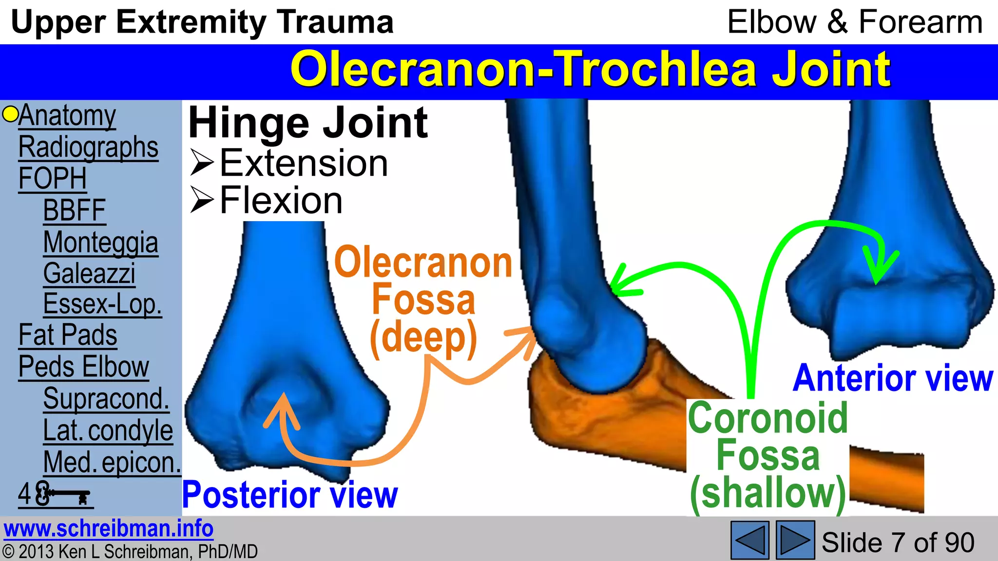 Upper Extremity Trauma Elbow & Forearm MSK Radiology Lecture | PPSX