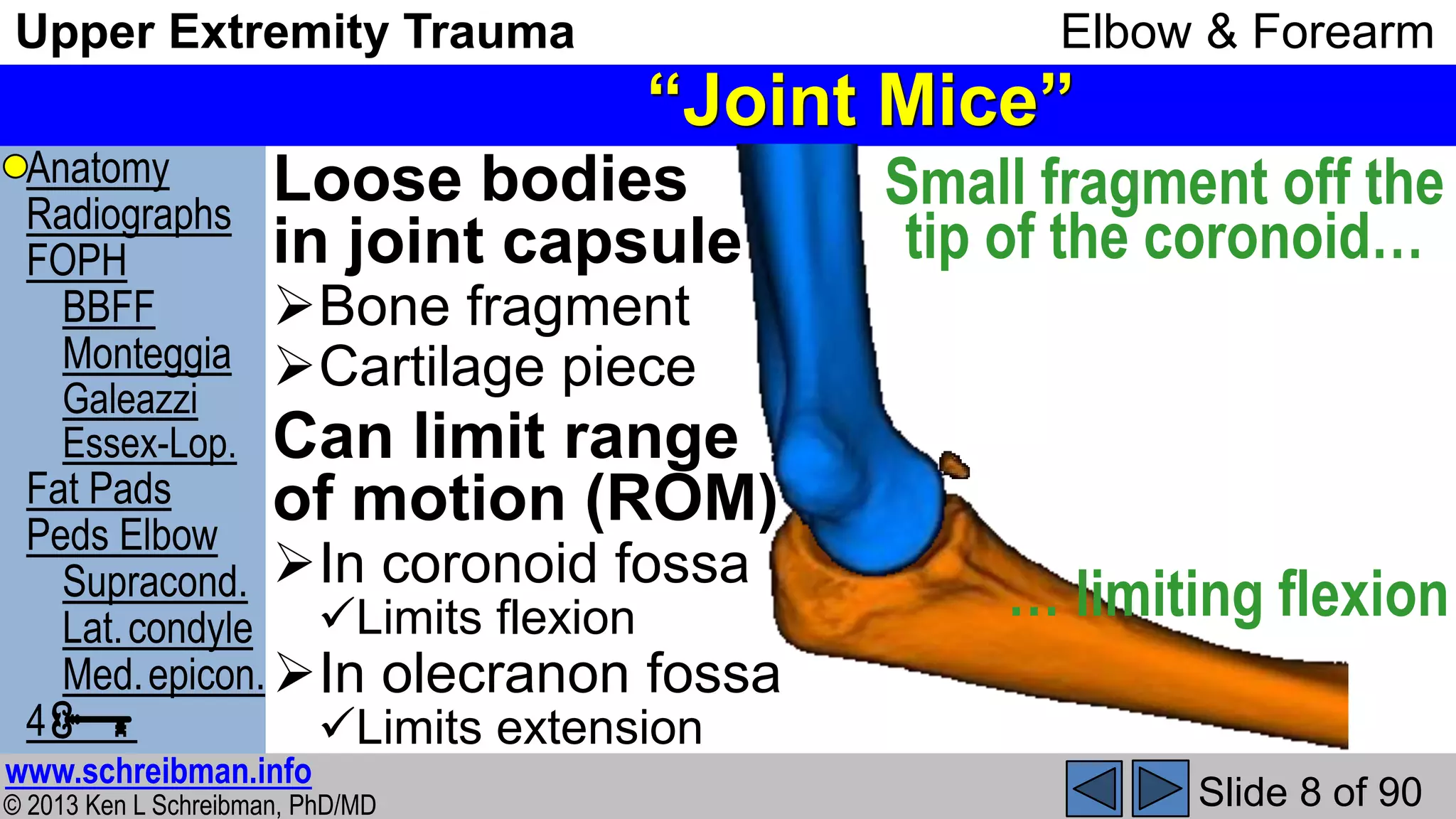 Upper Extremity Trauma Elbow & Forearm MSK Radiology Lecture | PPSX