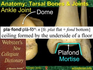 Easily Missed Fracture Foot & Ankle Radiology Lecture | PPSX