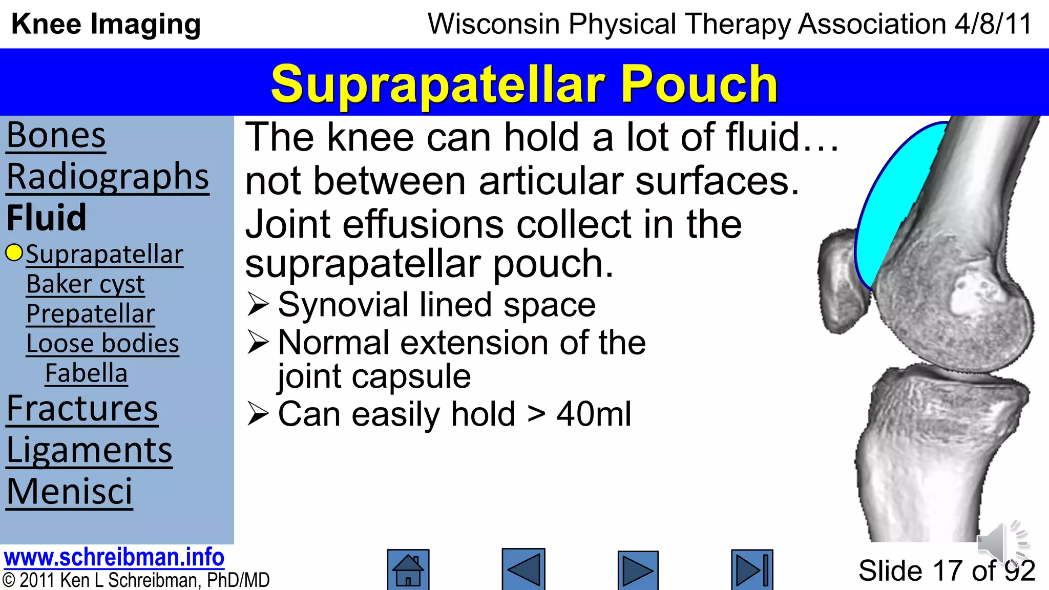 Knee Imaging narrated MSK Radiology Lecture | PPT