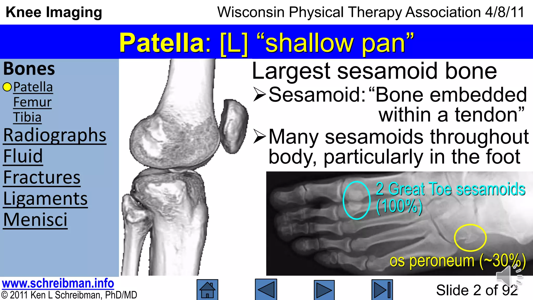 Knee Imaging narrated MSK Radiology Lecture | PPSX