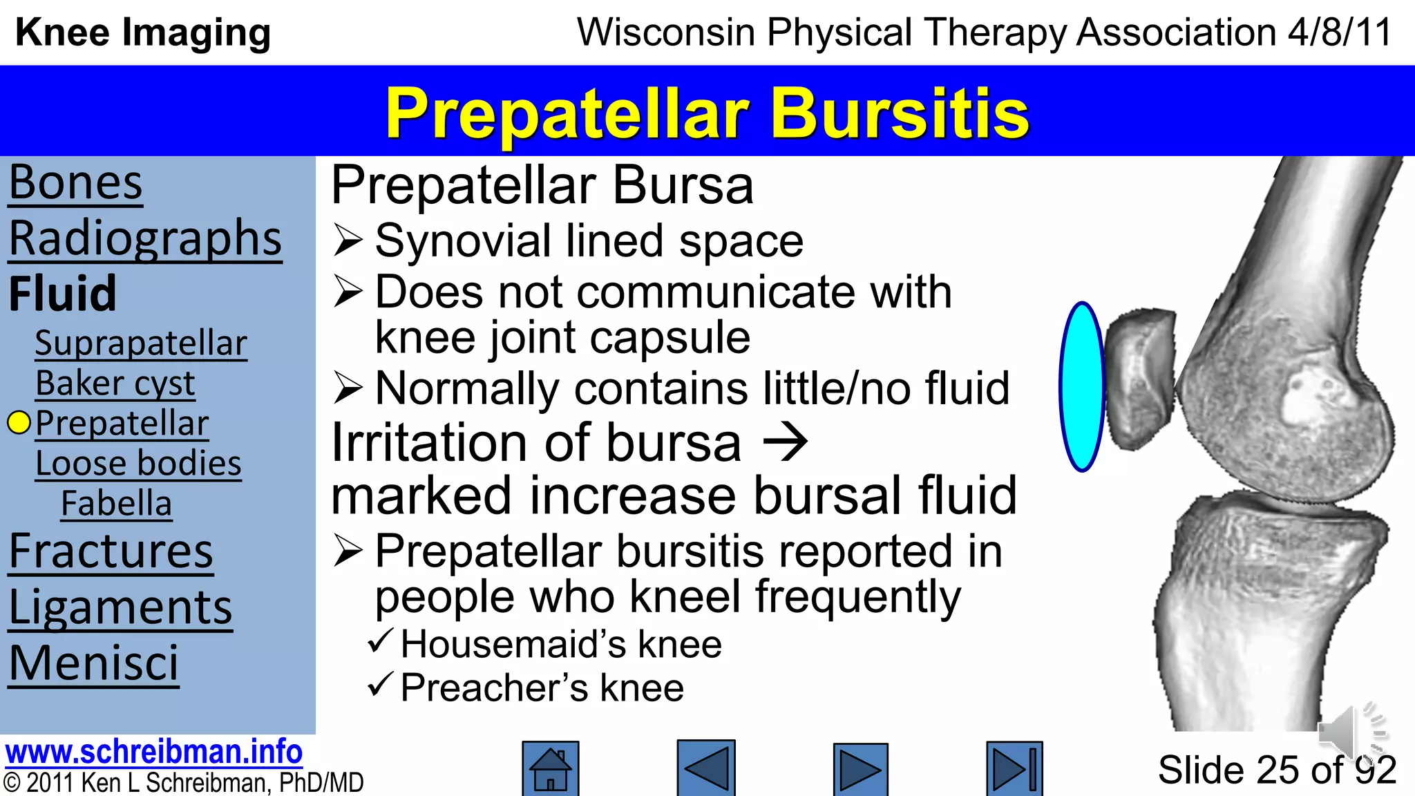 Knee Imaging narrated MSK Radiology Lecture | PPT