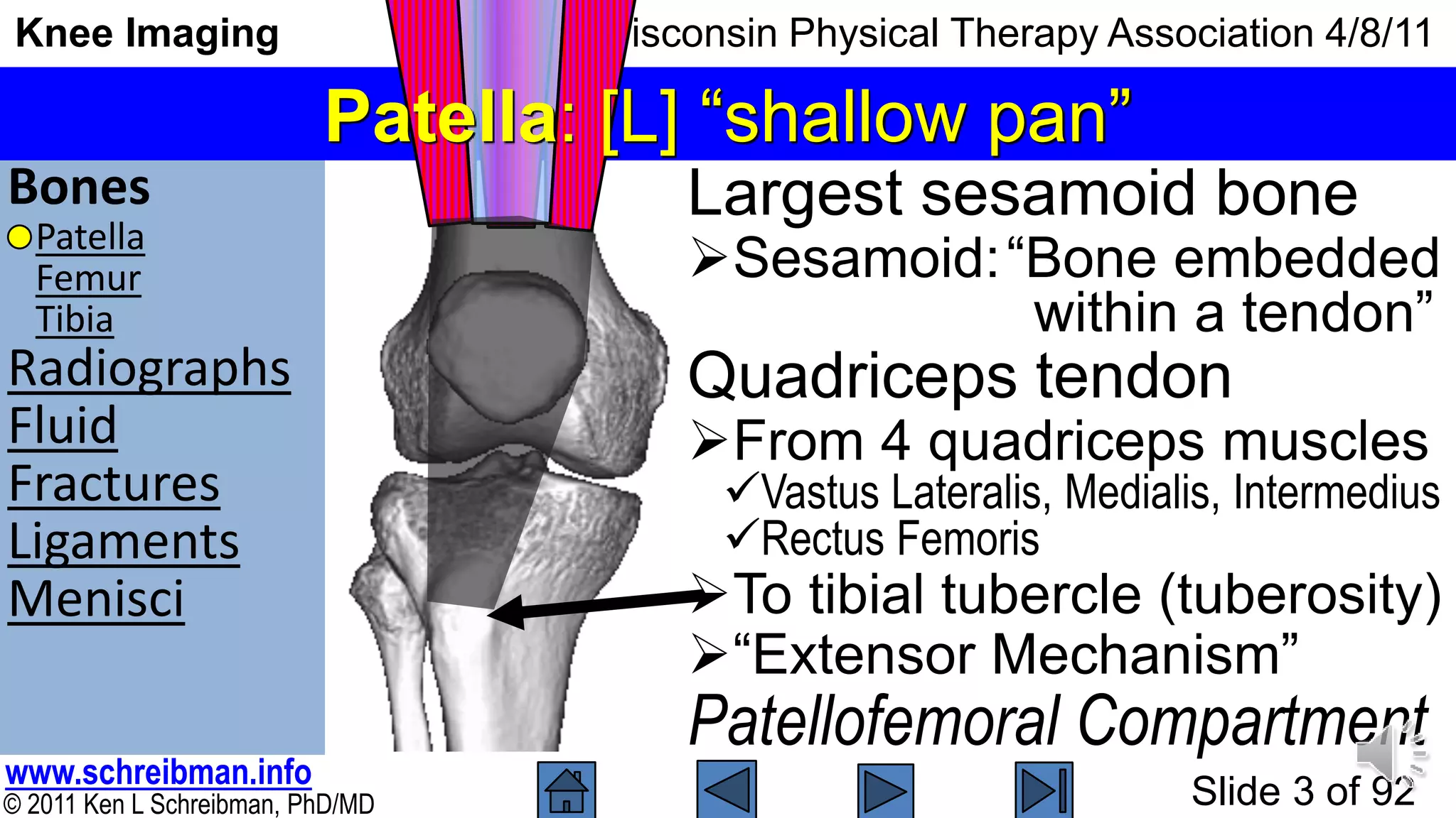 Knee Imaging narrated MSK Radiology Lecture | PPSX
