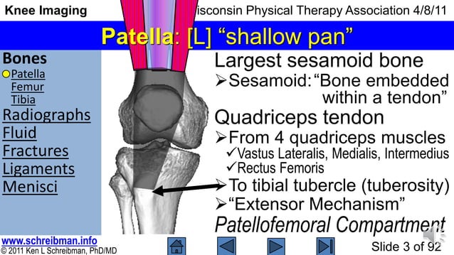 Knee Imaging narrated MSK Radiology Lecture | PPT | Free Download
