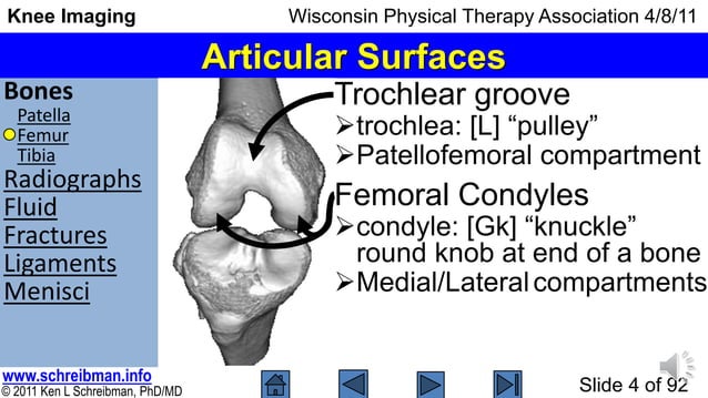 Knee Imaging narrated MSK Radiology Lecture | PPT
