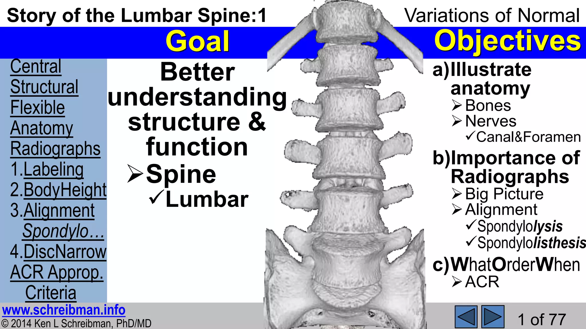 Story of the Lumbar Spine:1 Normal Variations | PPT