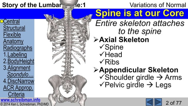 Story of the Lumbar Spine:1 Normal Variations | PPT