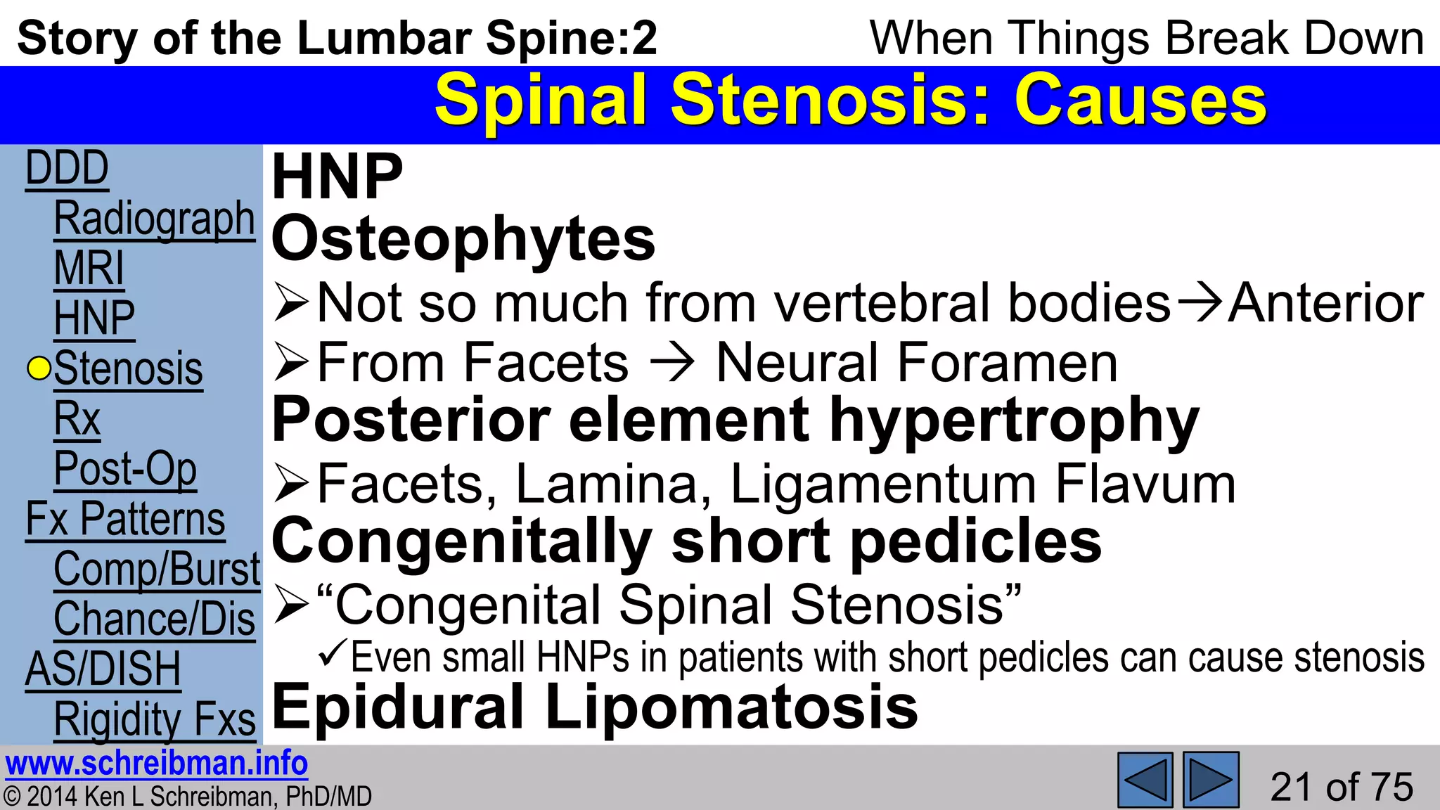 Story of the Lumbar Spine 2 When Things Break Down | PPSX