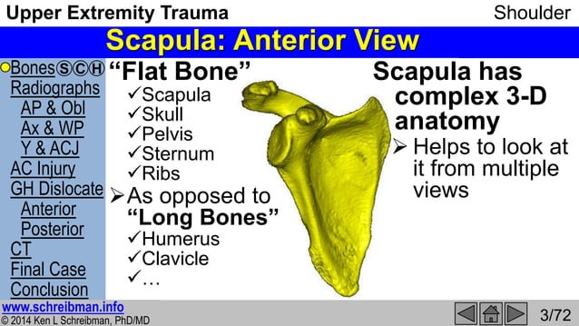 Upper Extremity Trauma Shoulder | PPT
