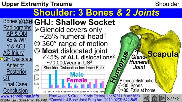 Upper Extremity Trauma Shoulder | PPT