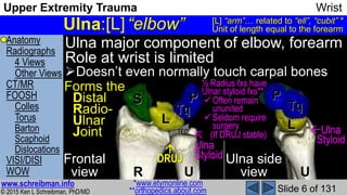 Upper Extremity Trauma Wrist complete MSK Radiology Lecture | PPSX