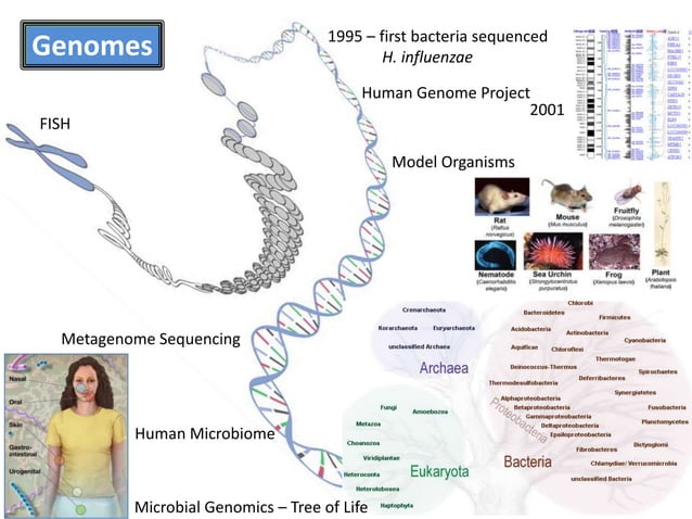 Human Disease Ontology Project presented at ISB's Biocurator meeting ...