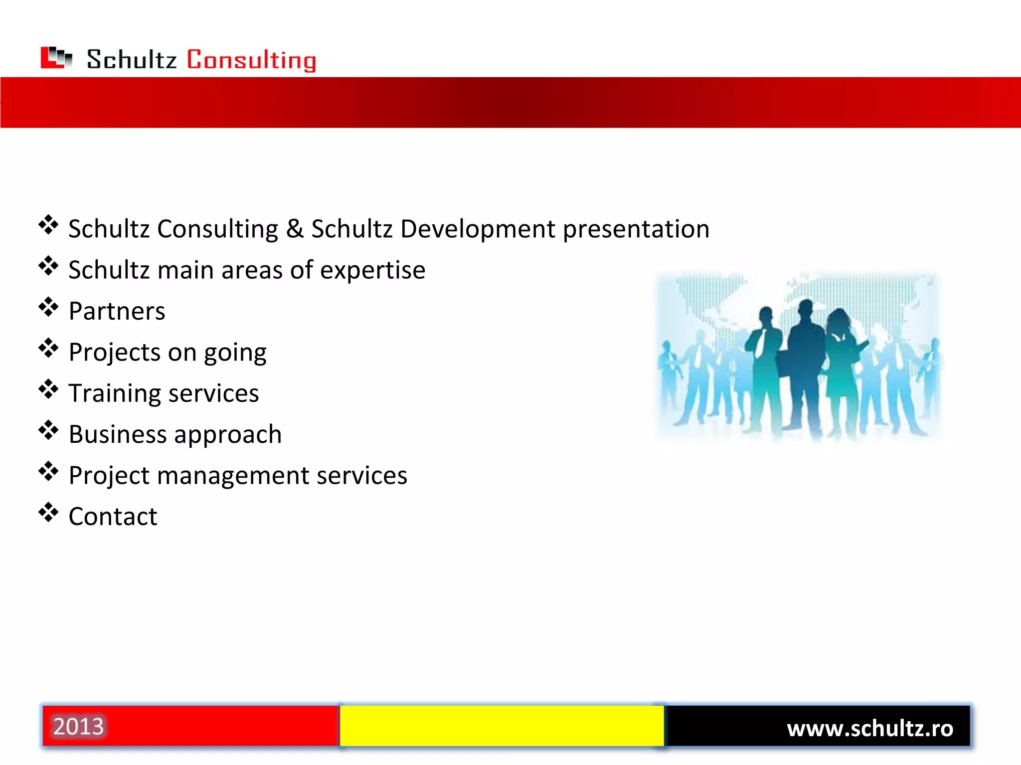 Schultz Consulting - Our capabilities | PPT