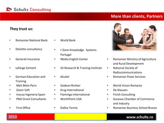 Schultz Consulting - Our capabilities | PPT