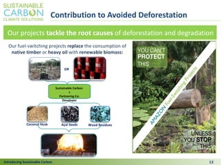 Sustainable Carbon Presentation | PPT