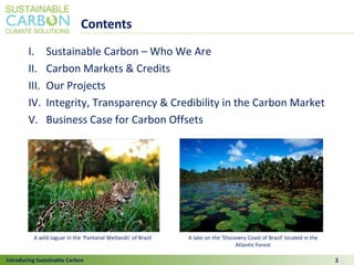 Sustainable Carbon Presentation | PPT