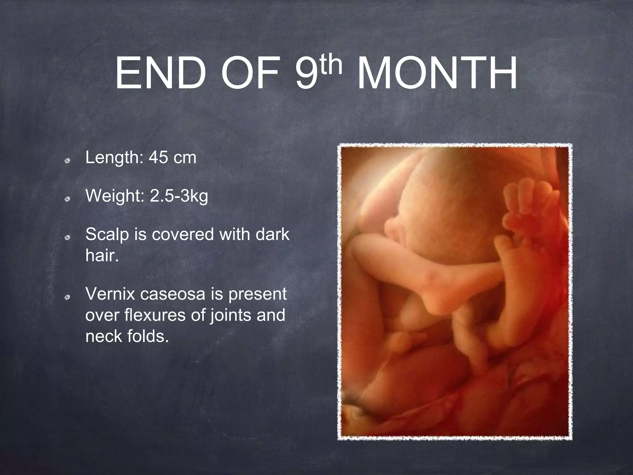 age of fetus with morphological features | PPTX