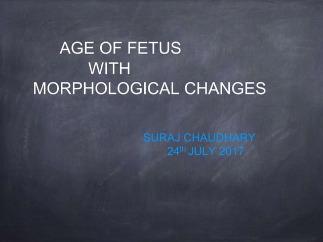 age of fetus with morphological features | PPTX